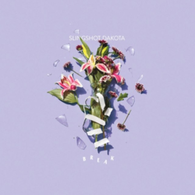 Break – Vinyl Castle