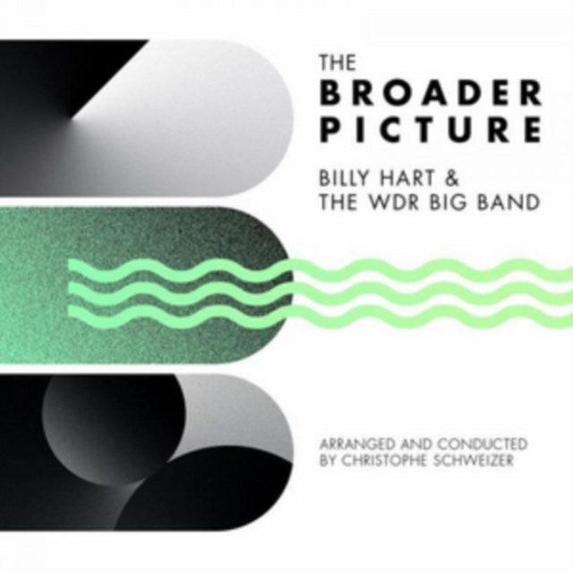 The Broader Picture – Vinyl Castle